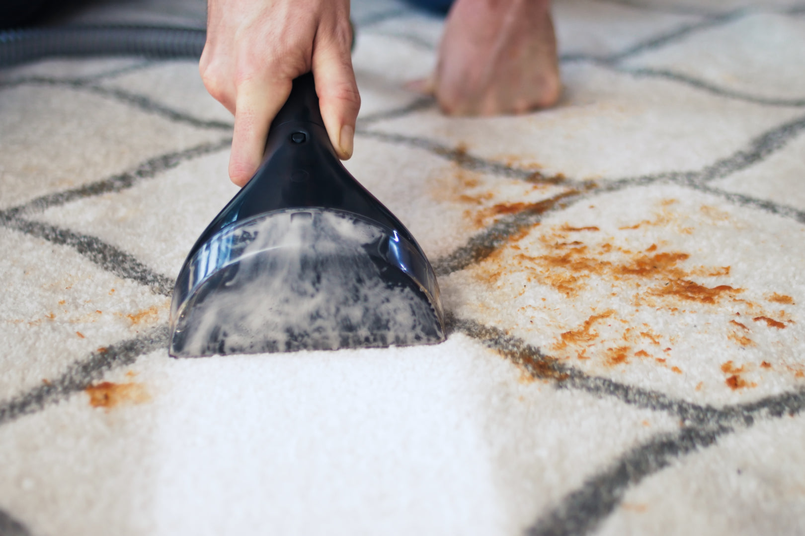 비쎌 스팟클린 프로페셔널 (1558S) | BISSELL Korea